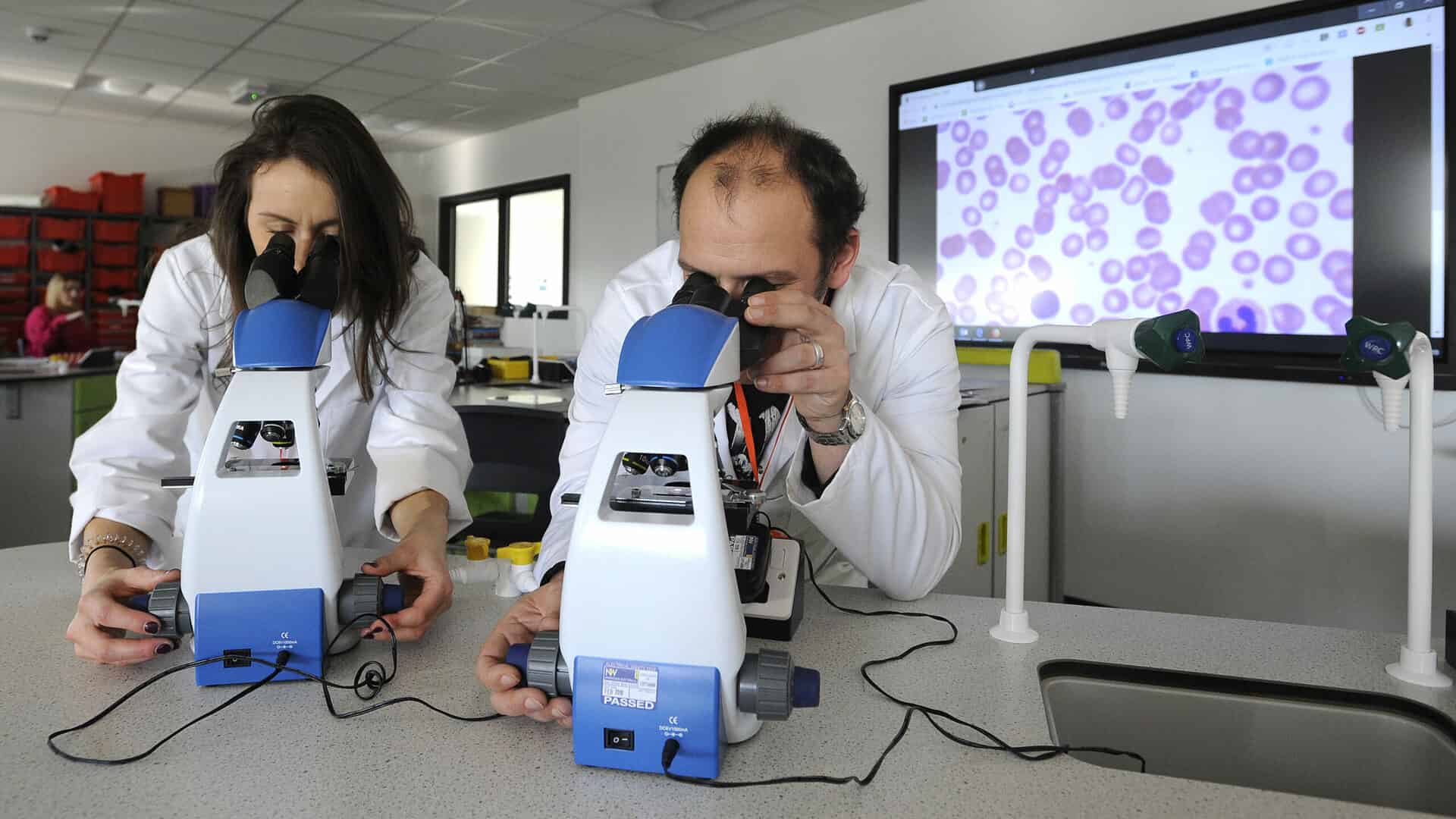 New peer network group launches for the medical and health science ...