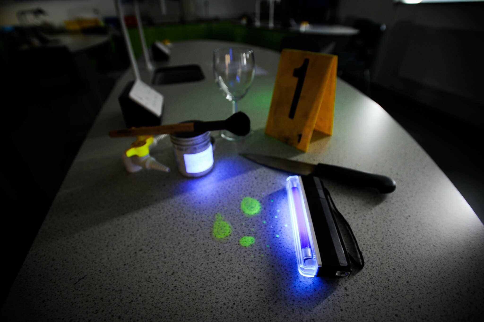 Forensic & Criminal Investigation - City College Plymouth